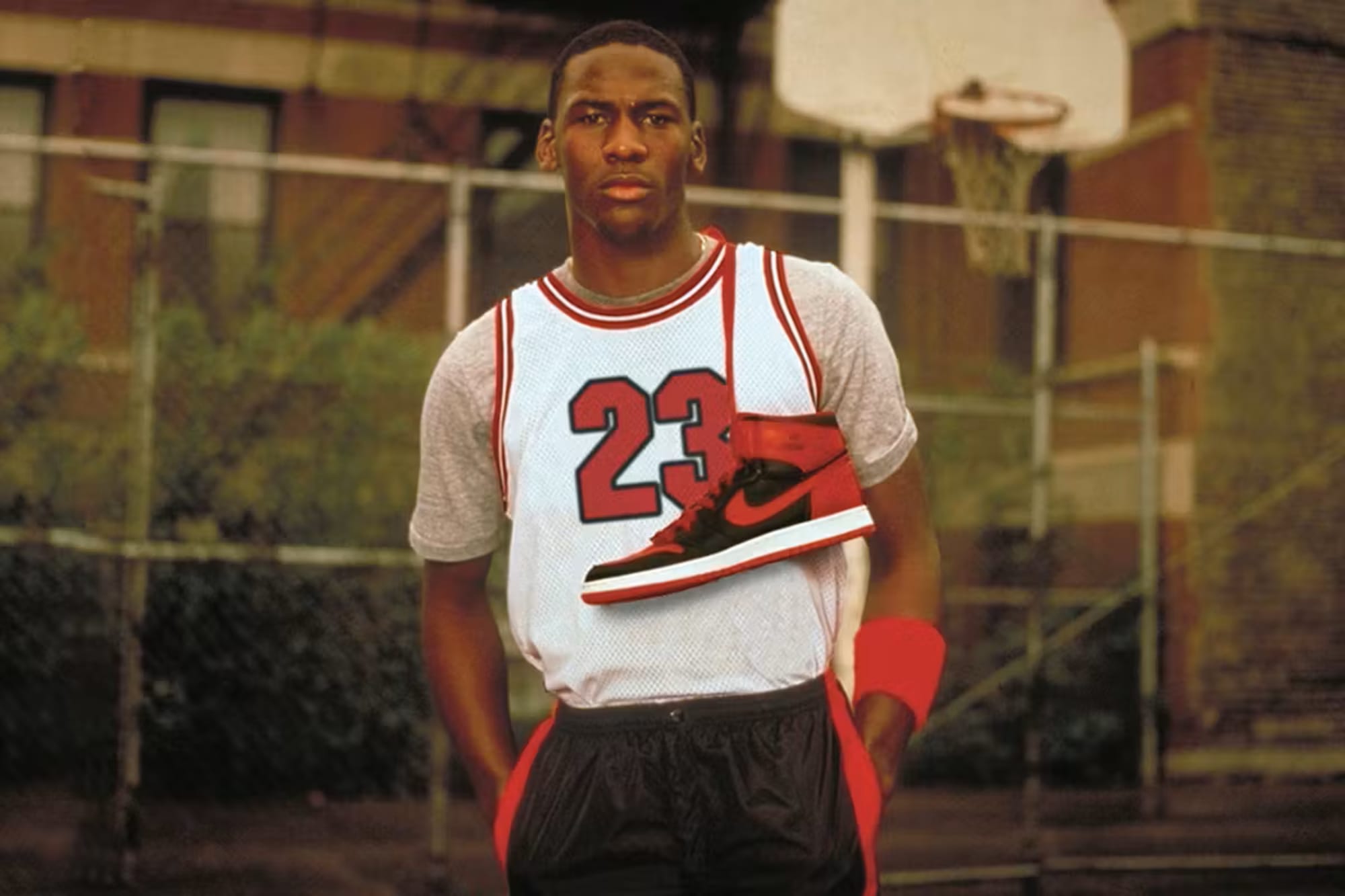 DID YOU KNOW? 40 Years of Air Jordan: A Revolution in Basketball ...