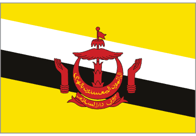 Brunei Darussalam - FIBA Team Profile | FIBA Basketball